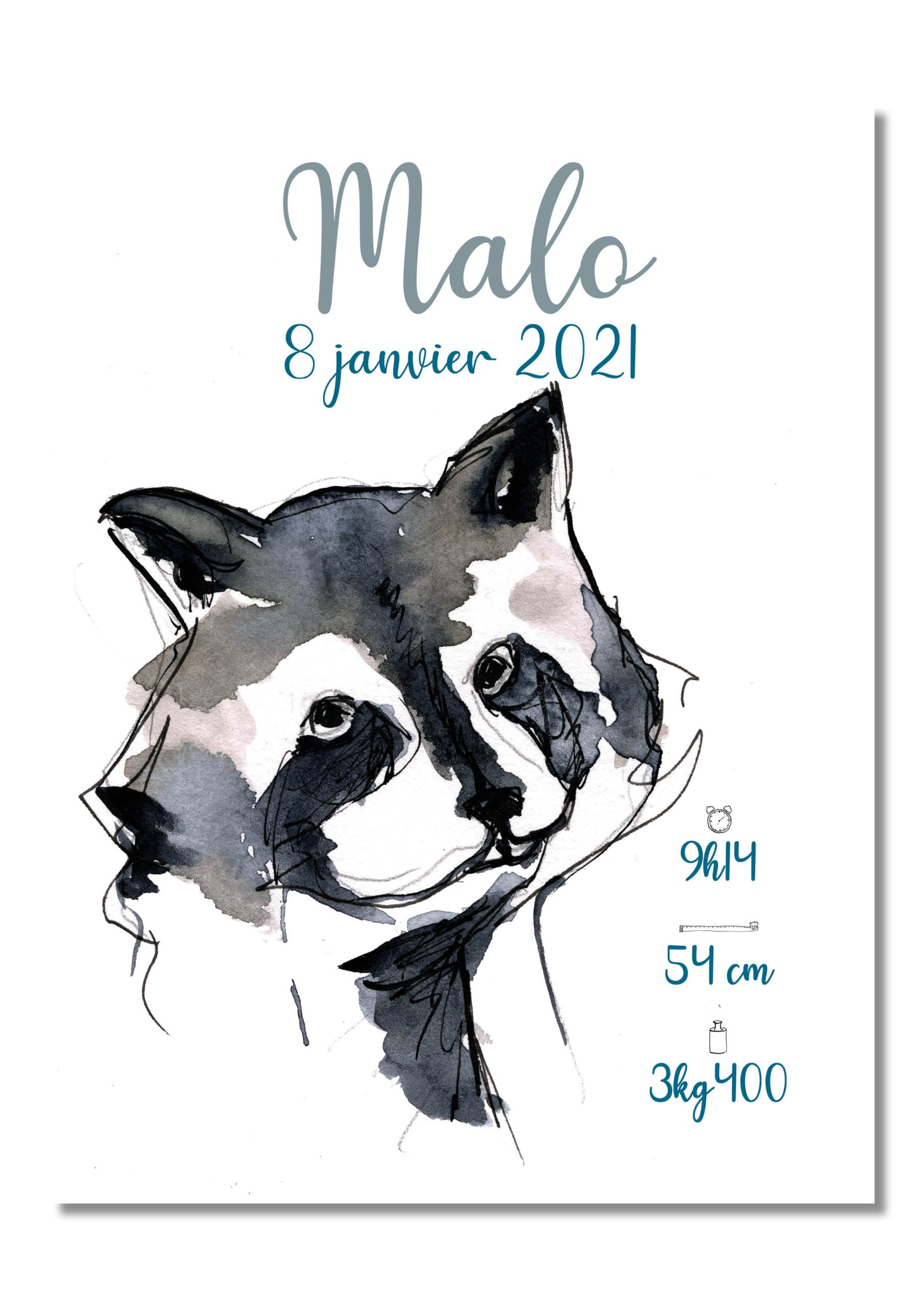 Affiche naissance Raton laveur - Papier ananas